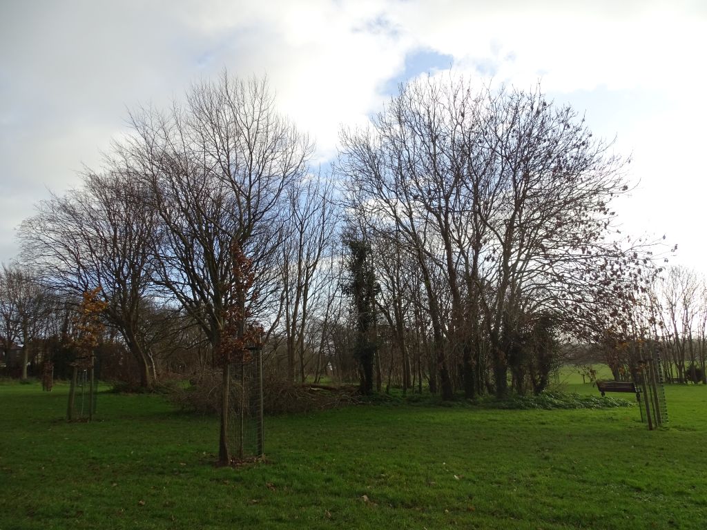 Weather in Shoreham – December 2024 – Shoreham Weather